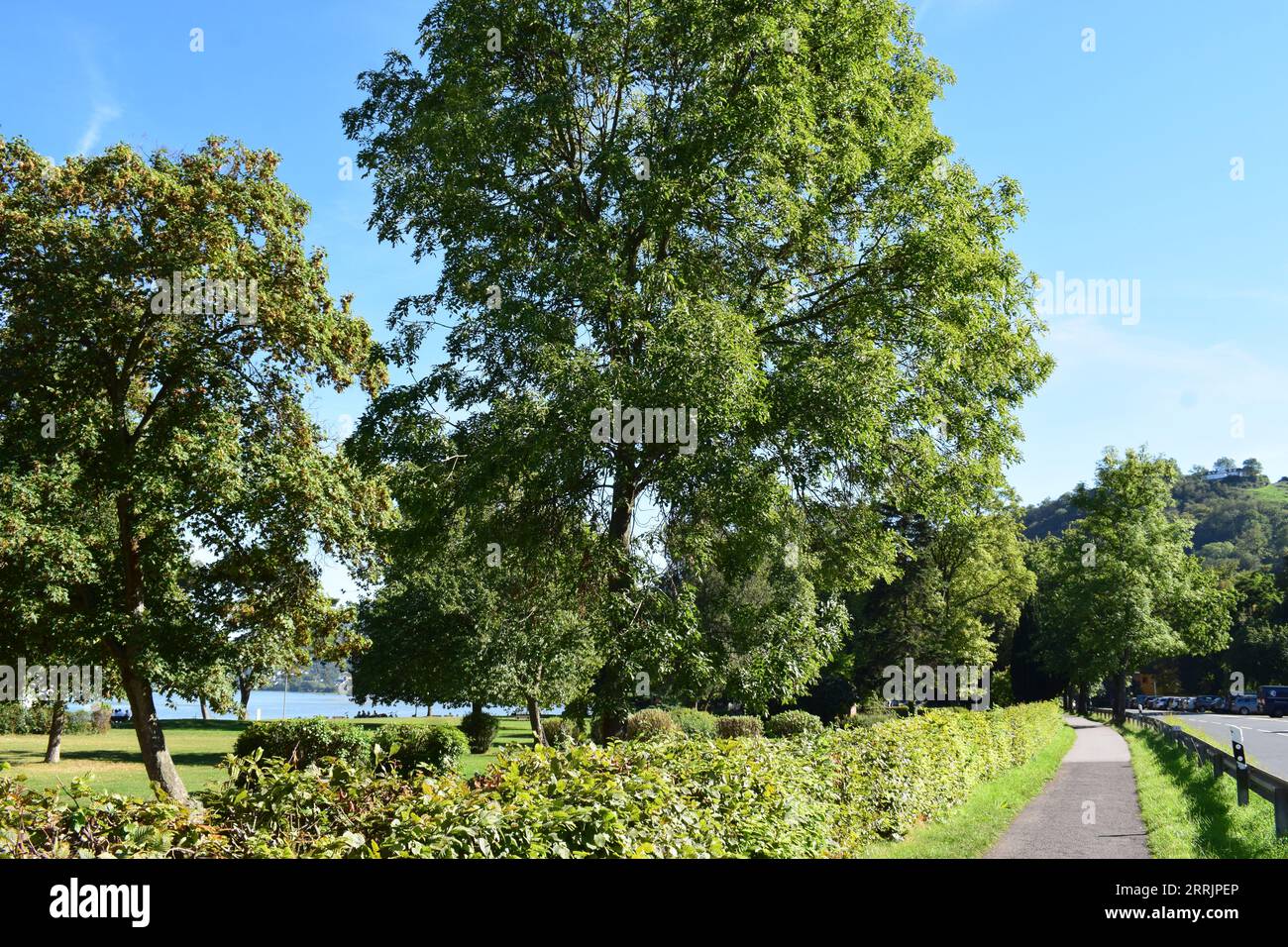 Bicicleta medieval hi-res stock photography and images - Alamy