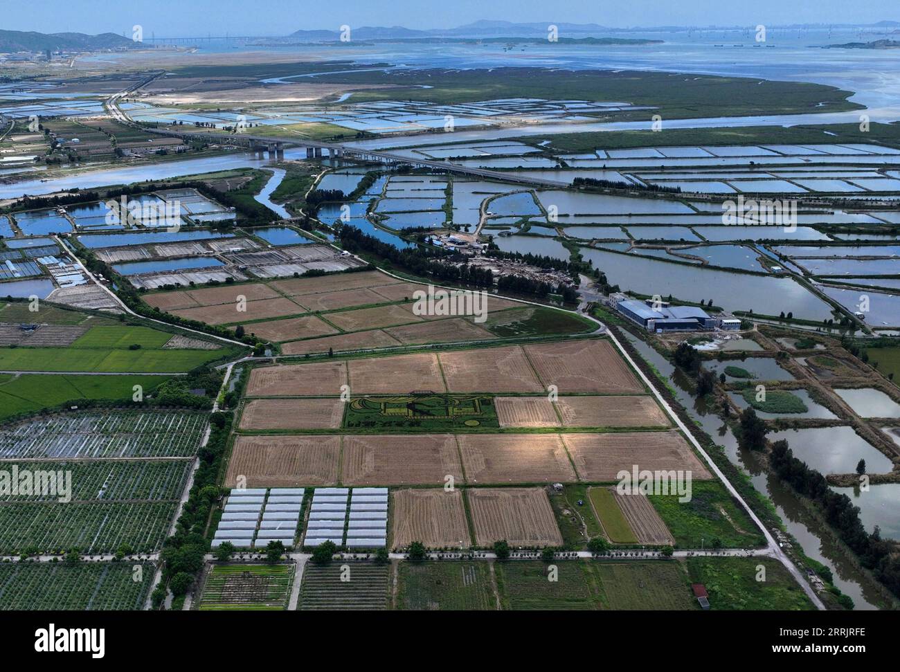 6 ponds hi-res stock photography and images - Alamy