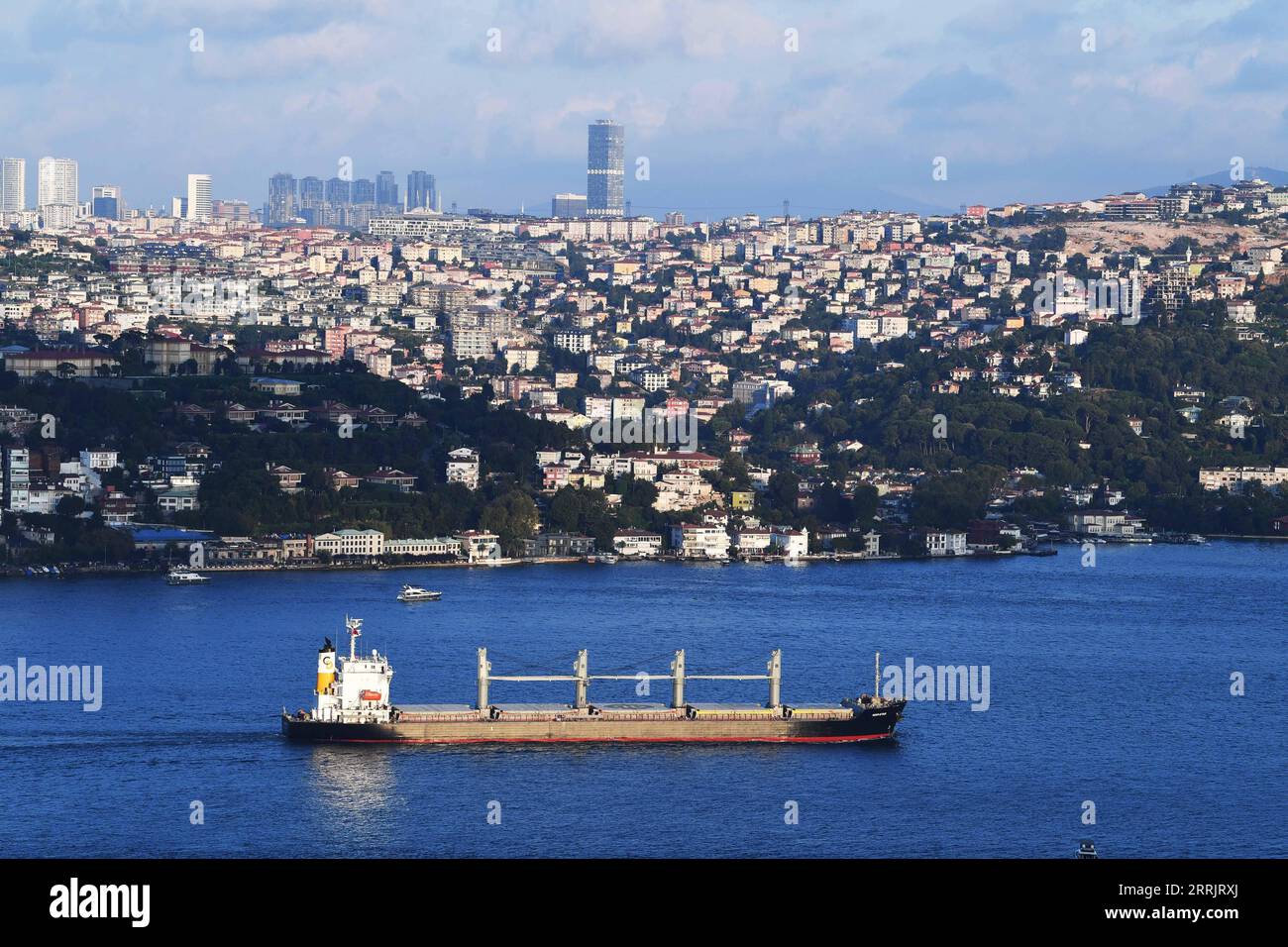 Imago shadati hi-res stock photography and images - Alamy