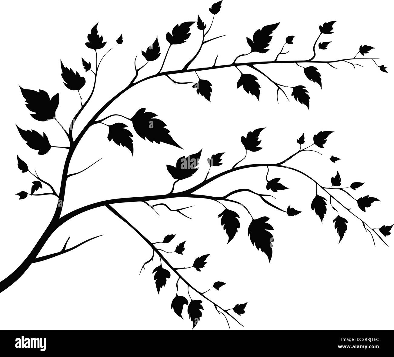 Vector illustration of isolated, realistic tree branch with leaves and ...
