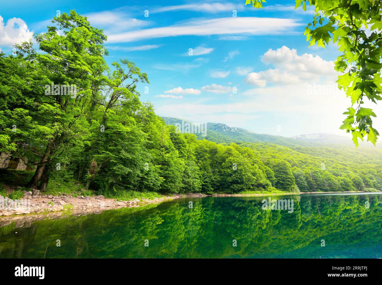 Biogradsko lake in the national park Biogradska Gora Montenegro Stock ...