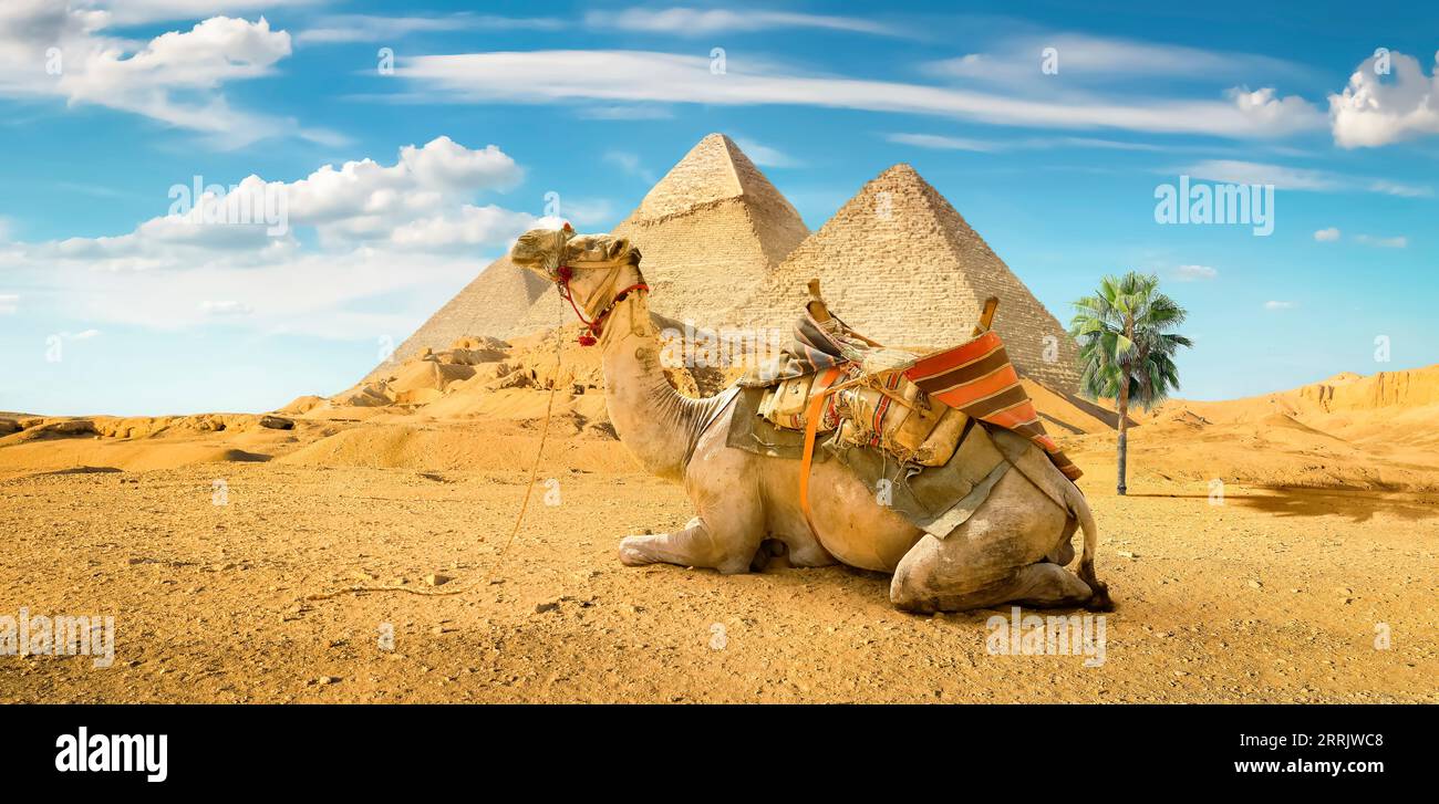 Pyramids ancient egypt in giza hi-res stock photography and images - Alamy