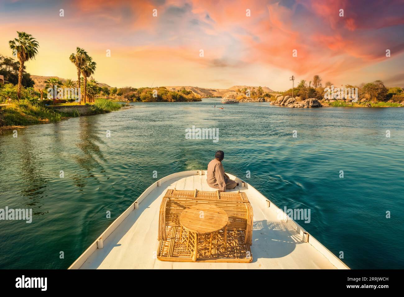 Bird aswan hi-res stock photography and images - Alamy