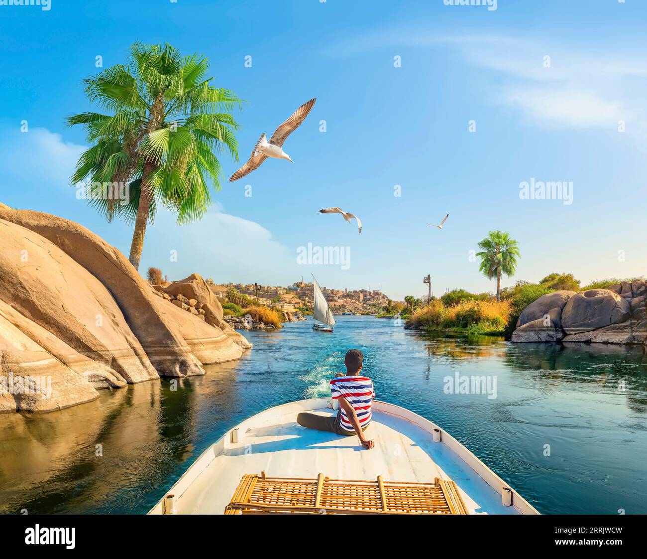 Bird aswan hi-res stock photography and images - Alamy