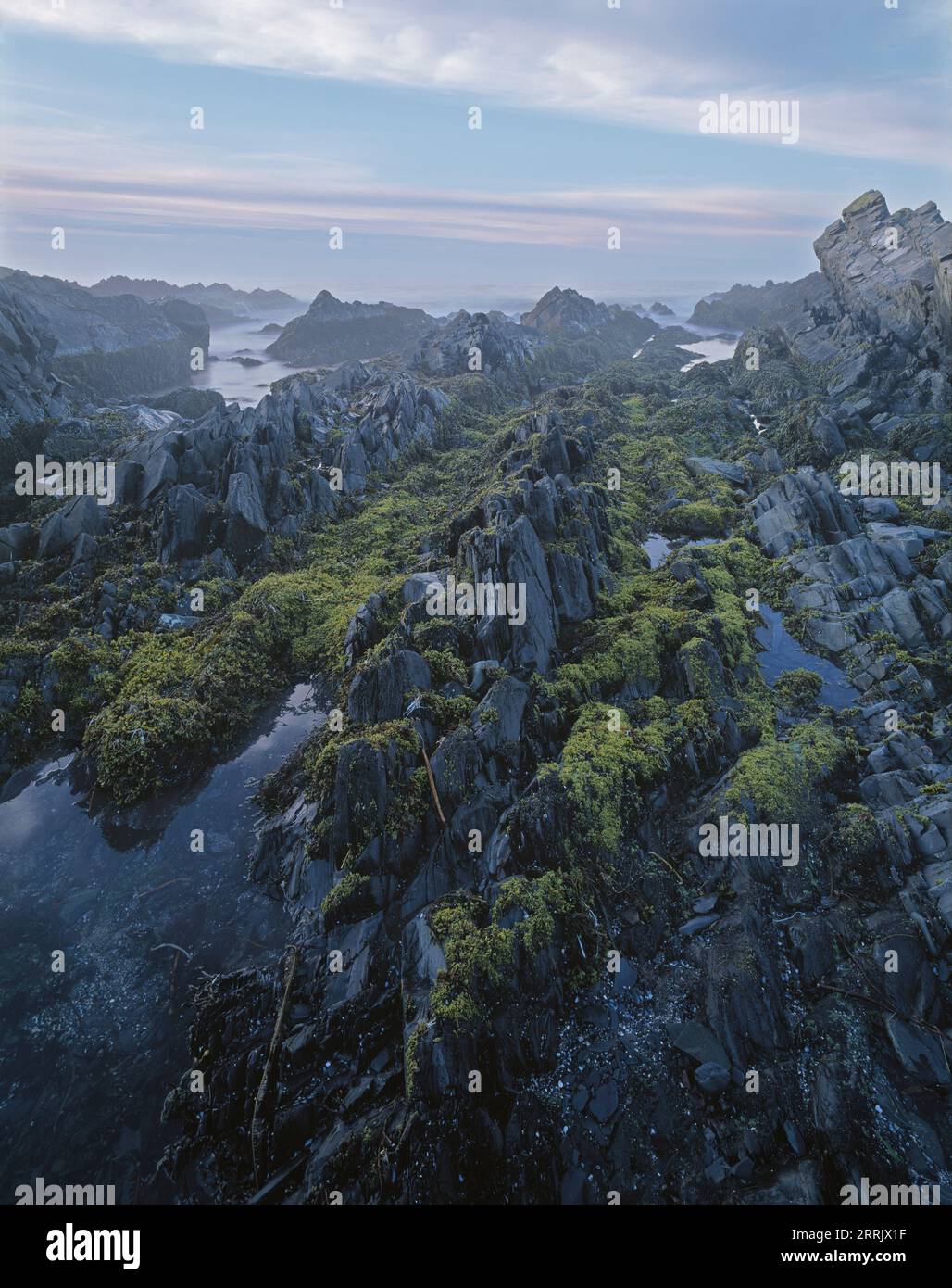 Norway, Varanger penninsula, National Park, Hamningberg, Barents Sea ...