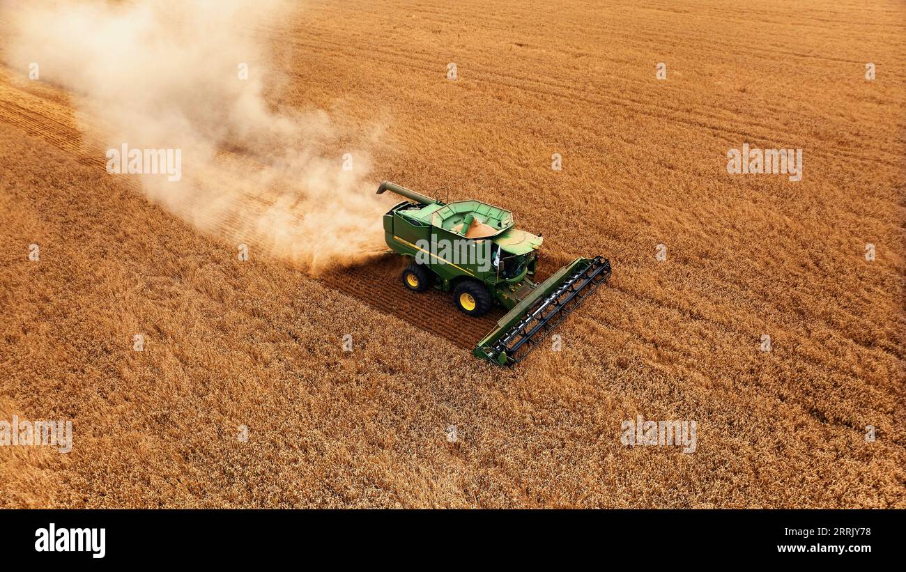 John Deere grain harvester at work. Combine harvester with straw ...