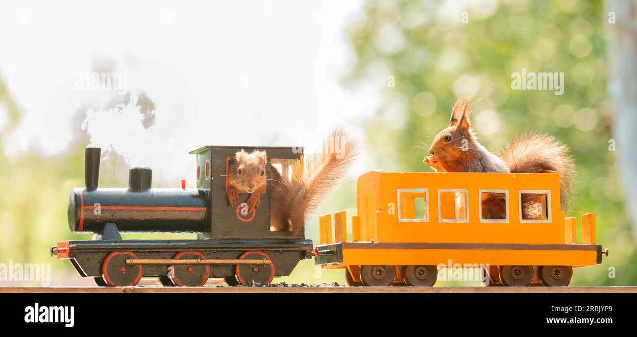 The train with wagon hi-res stock photography and images - Alamy