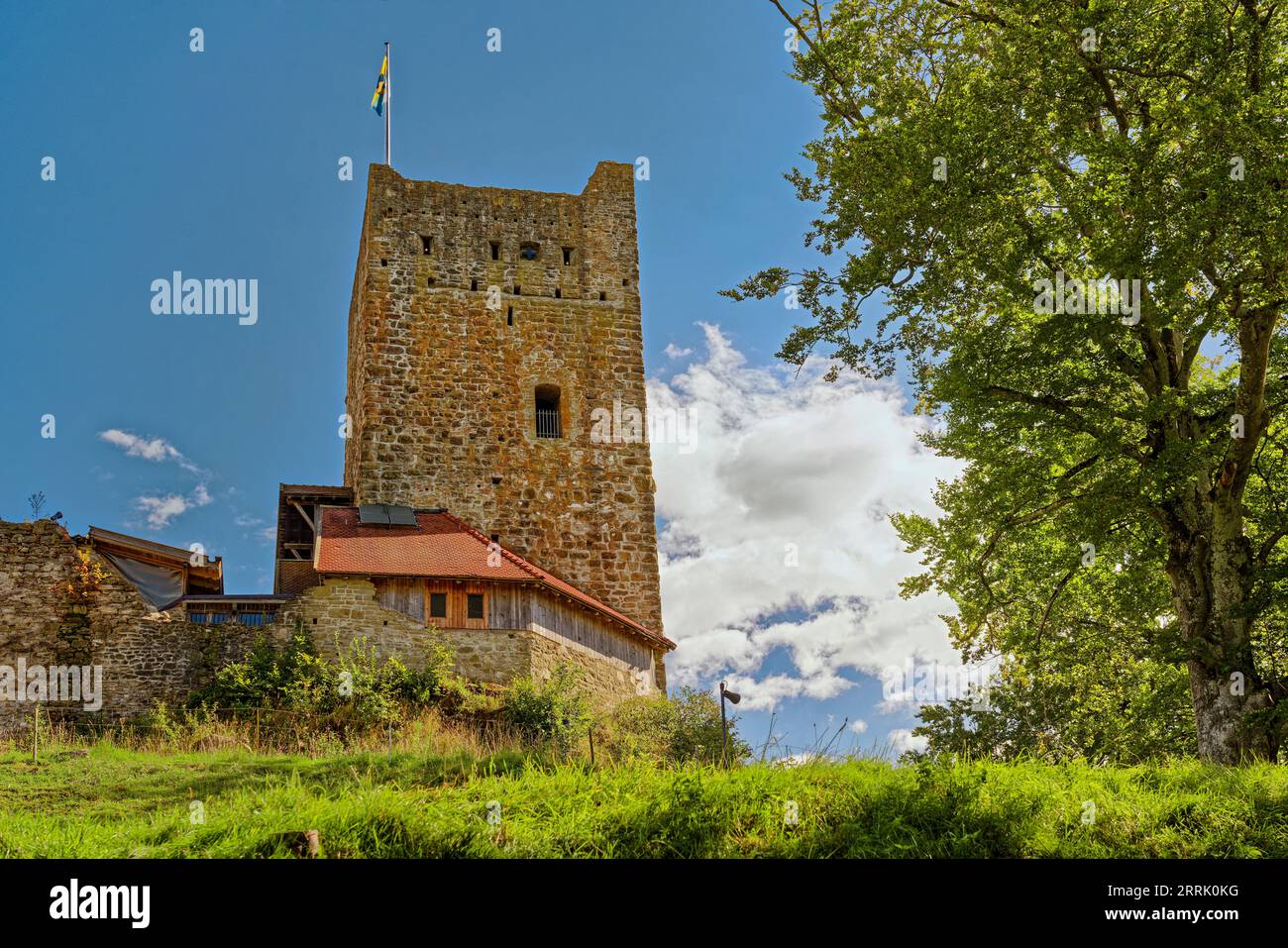 Sulzberg castle ruin, Sulzberg, Germany Stock Photo - Alamy