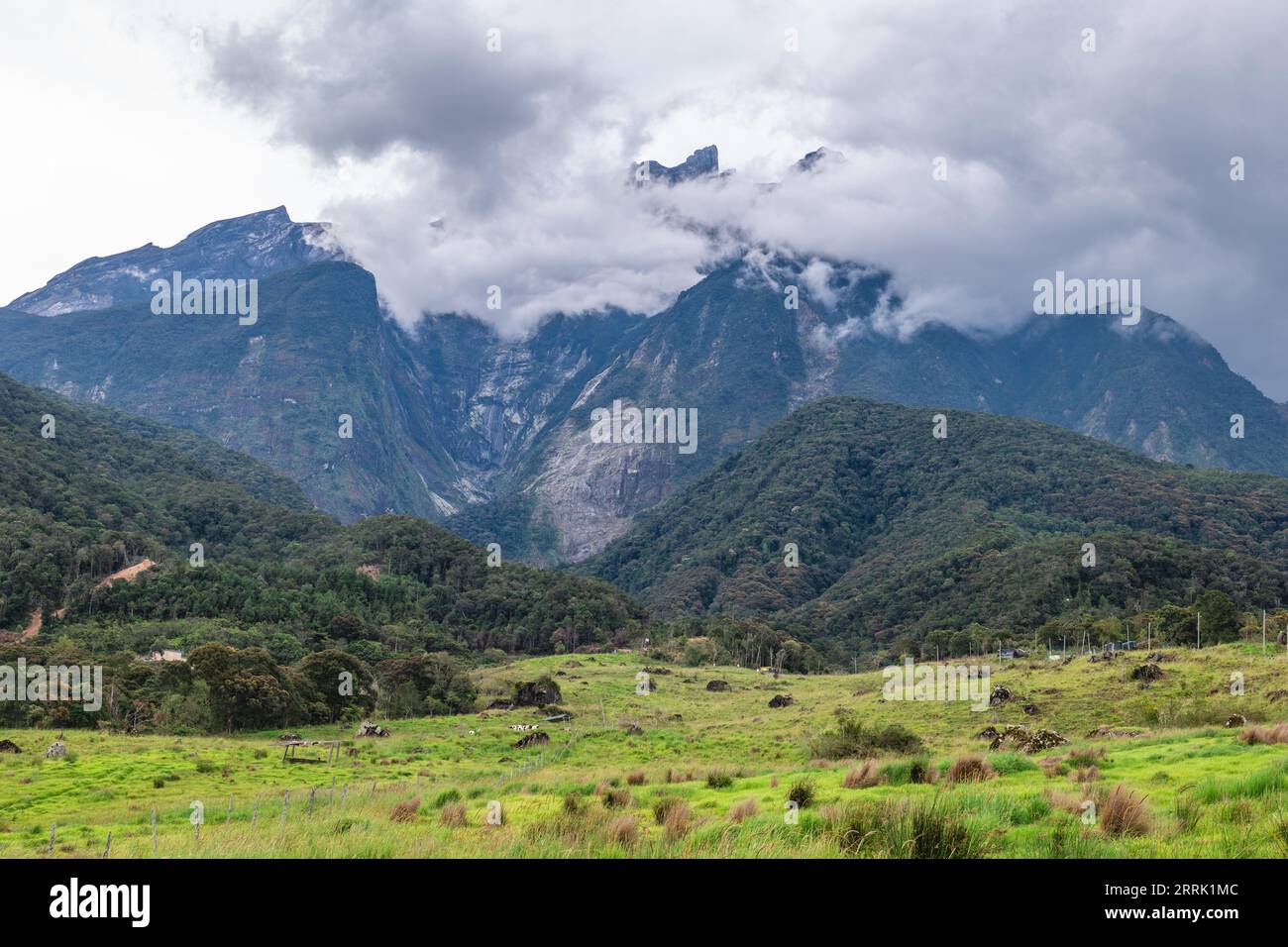 Mount Kinabalu viewed from Desa Dairy Farm, in Sabah, Borneo, east ...