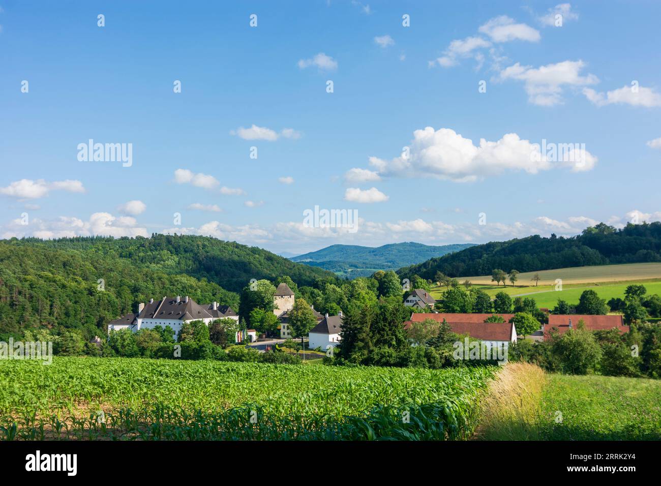 Schloss leiben hi-res stock photography and images - Alamy
