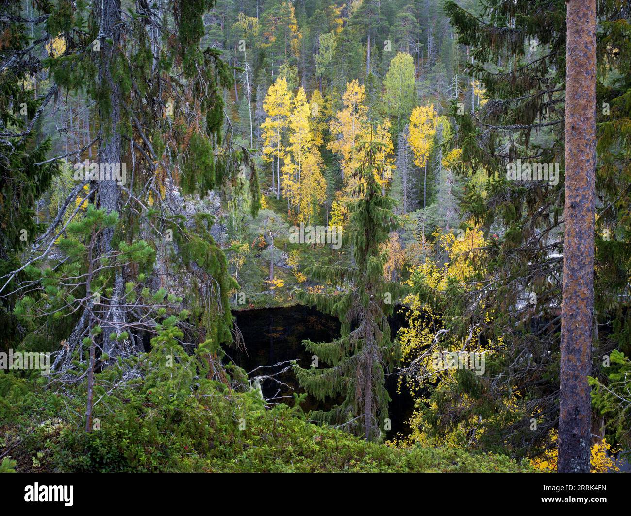 Autumn in Hossa National Park, Finland Stock Photo - Alamy