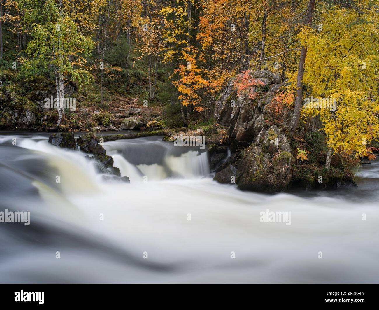 Myllykoski Rapids in autumn, Little Bear Round ("Pieni Karhunkierros ...