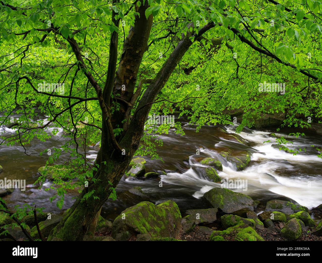 The bode valley hi-res stock photography and images - Alamy