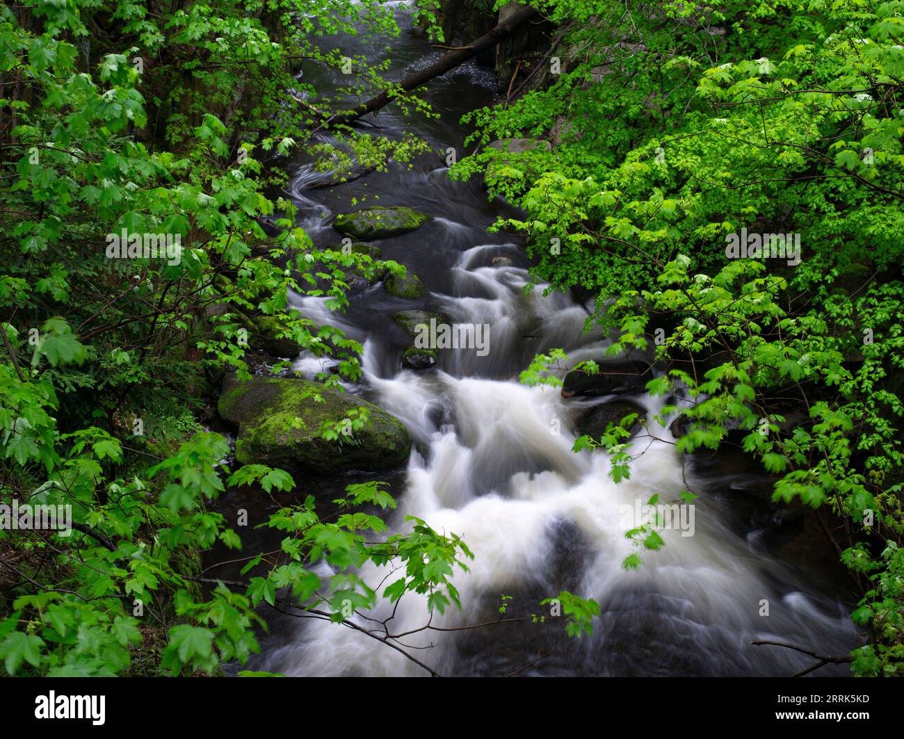 Bode river gorge hi-res stock photography and images - Alamy