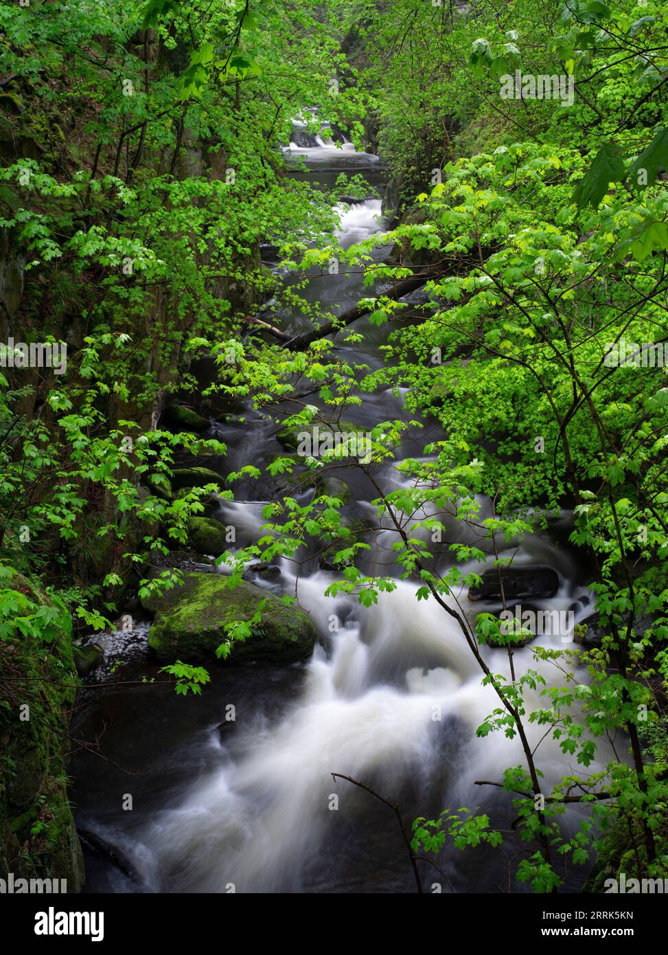 Bode valley, Harz National Park, spring Stock Photo - Alamy