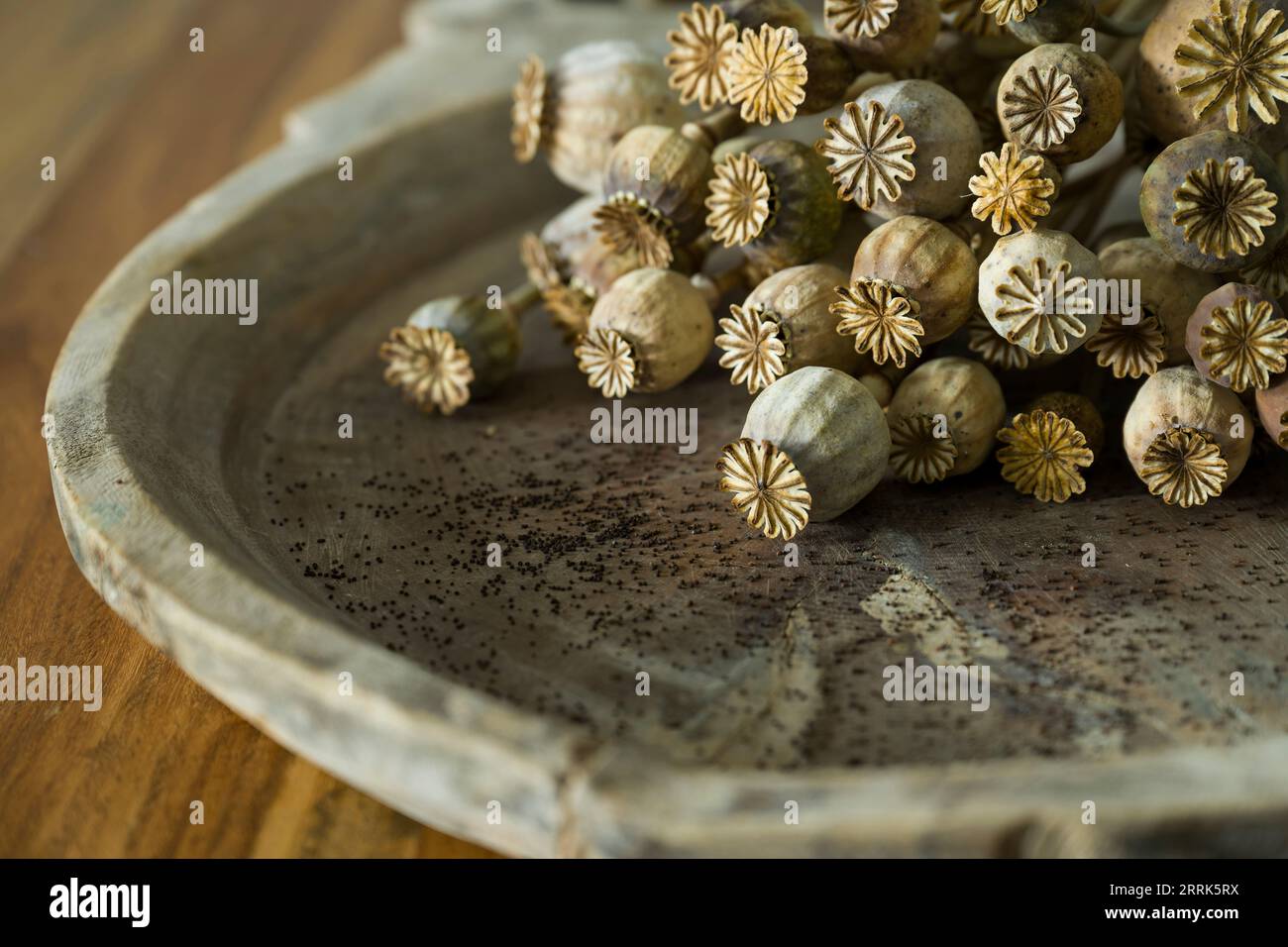 ripe poppy pods tied into a bouquet and seeds lie in an old wooden bowl ...