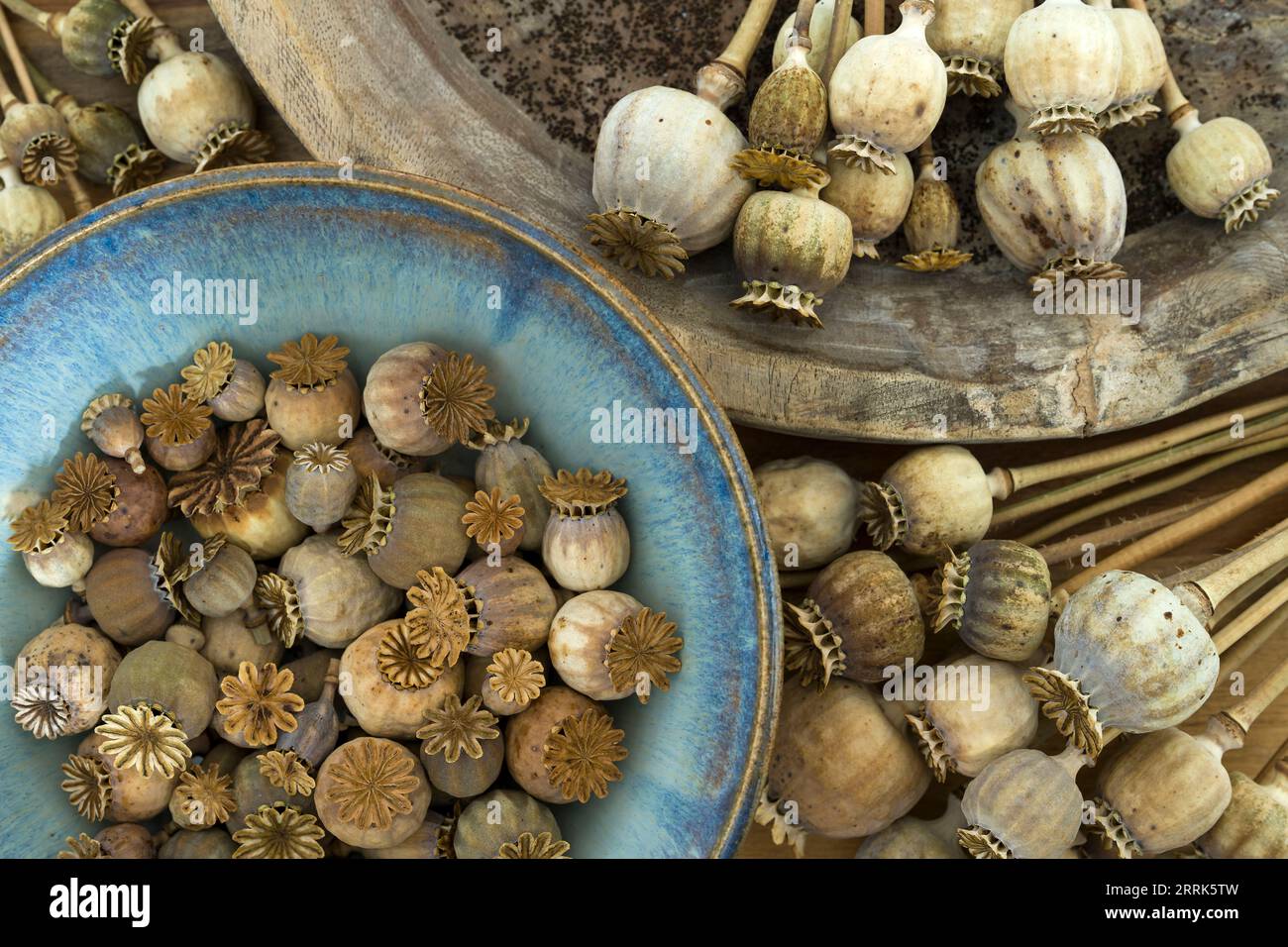 dried poppy capsules in bowls made of wood and blue glazed stoneware ...