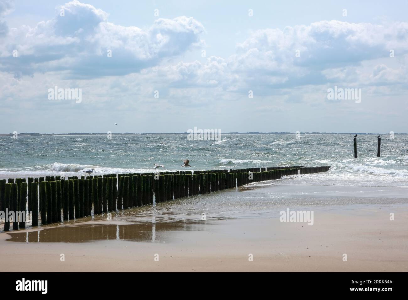 Vlissingen, Zeeland, Netherlands - sandy beach with wooden breakwaters ...