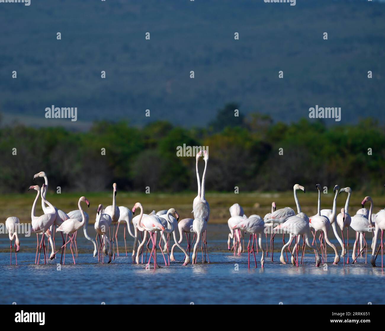 Bot river wetland hi-res stock photography and images - Alamy