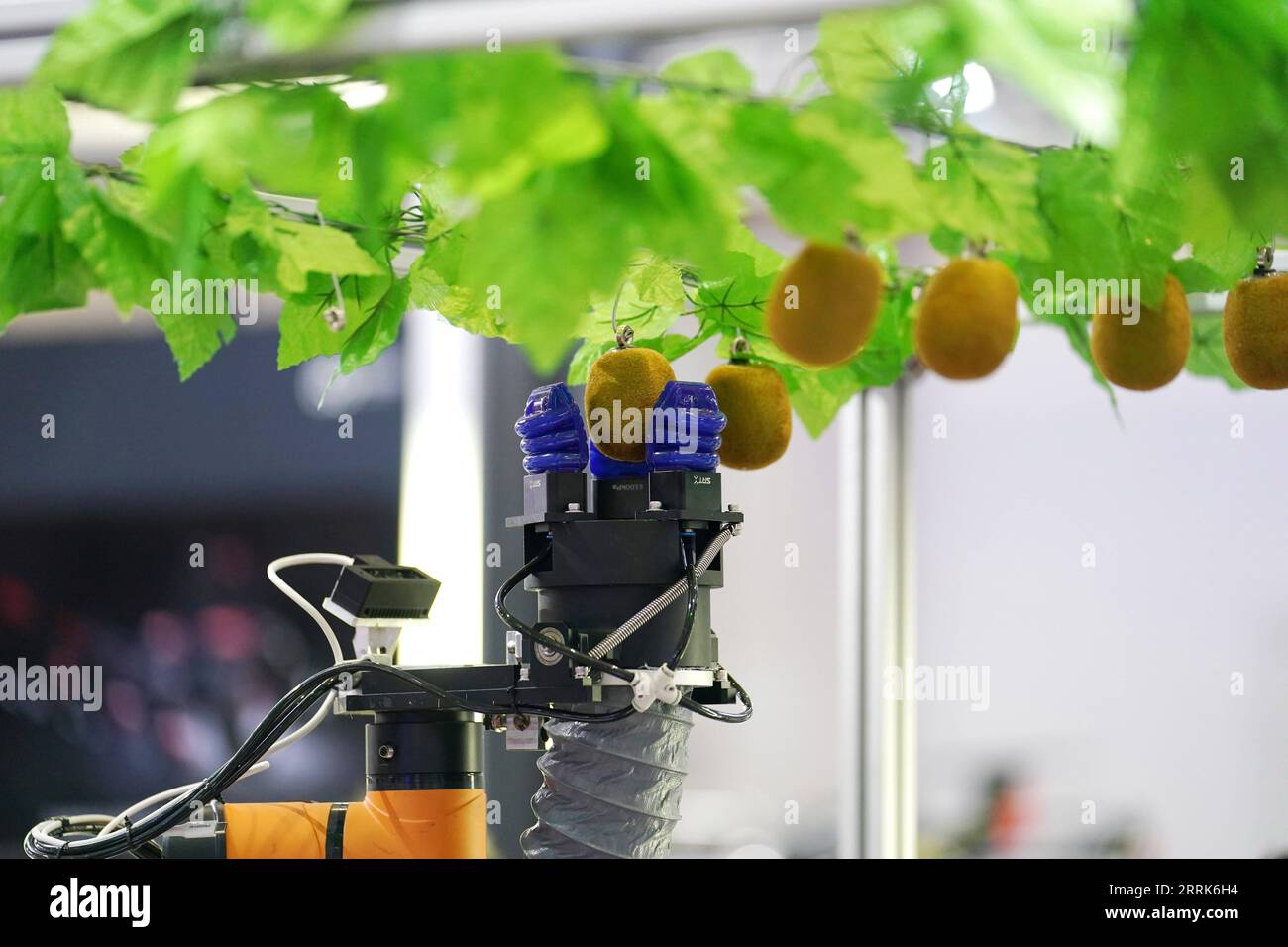 220821 -- BEIJING, Aug. 21, 2022 -- A fruit-picking robot is on display ...