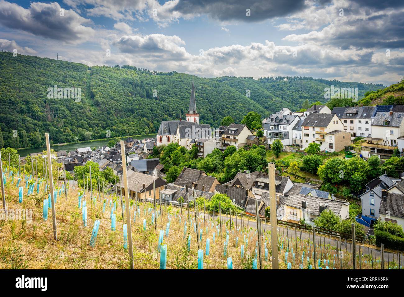 Wine village cochem on hi-res stock photography and images - Alamy