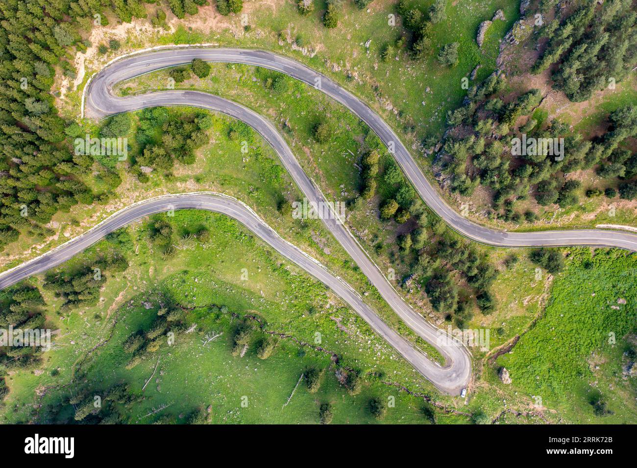 curvy roads and unique forest scenery, Artvin, Turkey Stock Photo - Alamy