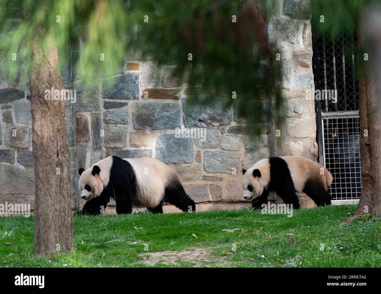 220417 -- WASHINGTON, D.C., April 17, 2022 -- Photo taken on April 16 ...