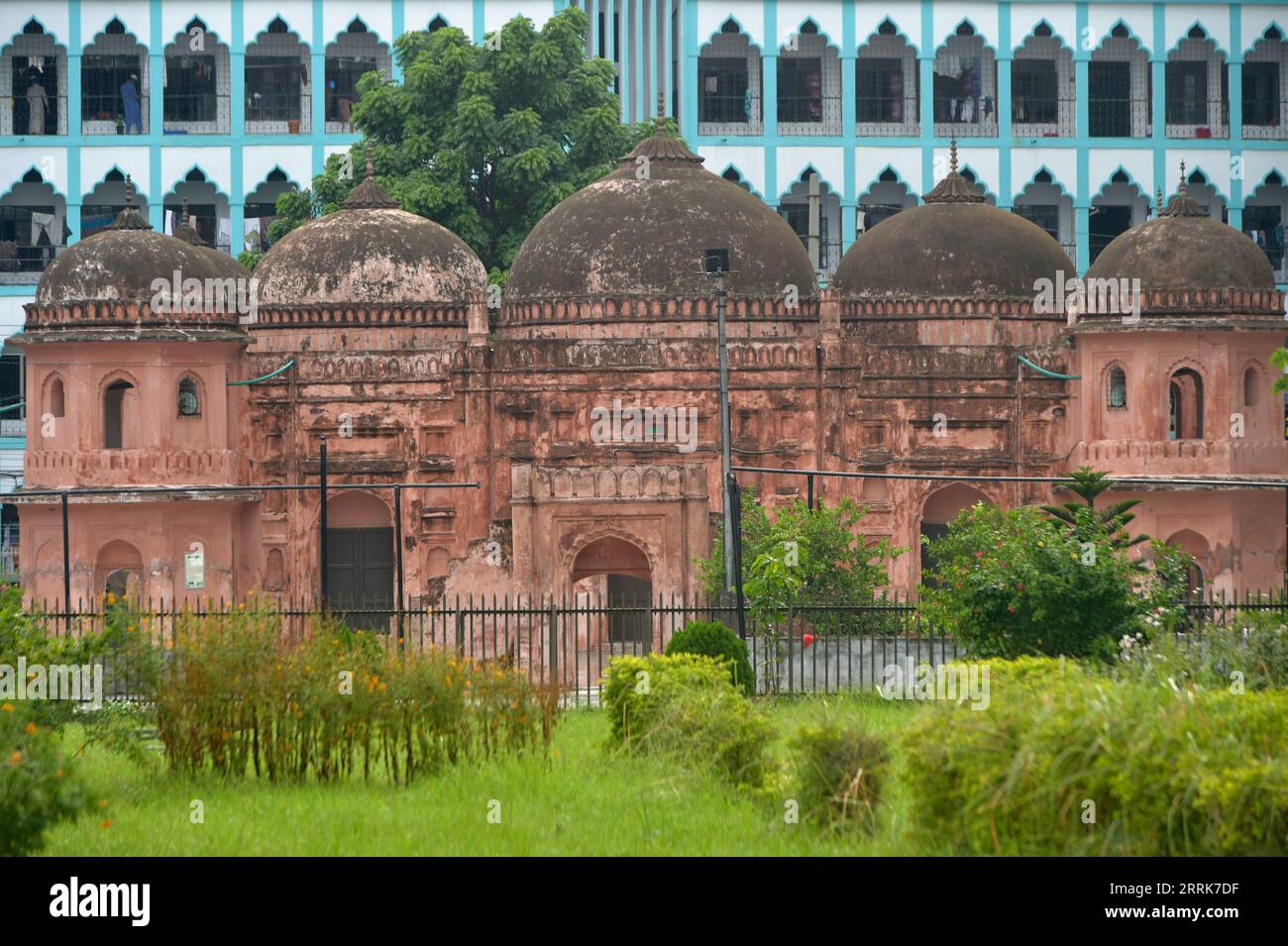 Gambuj hi-res stock photography and images - Alamy