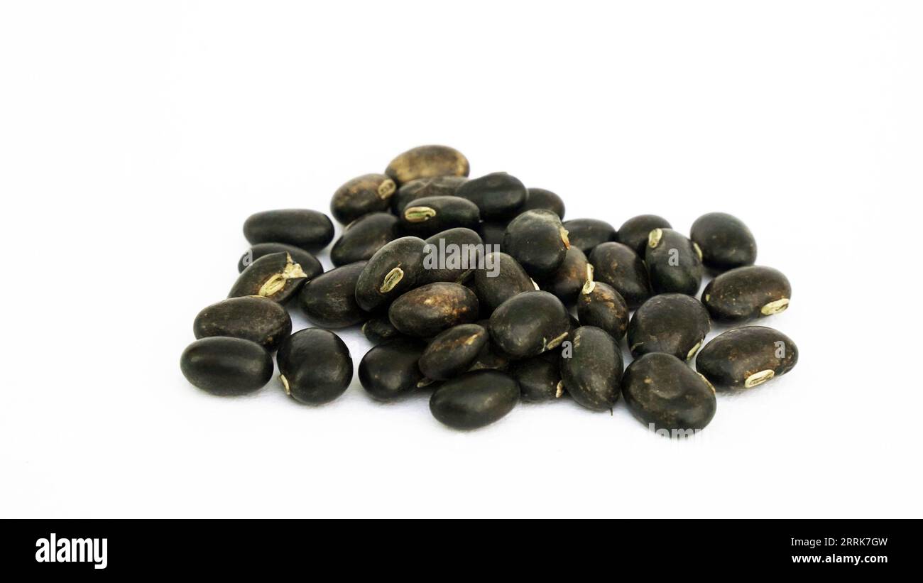 Phaseolus vulgaris is scientific name of Black Turtle Bean legume. Also ...