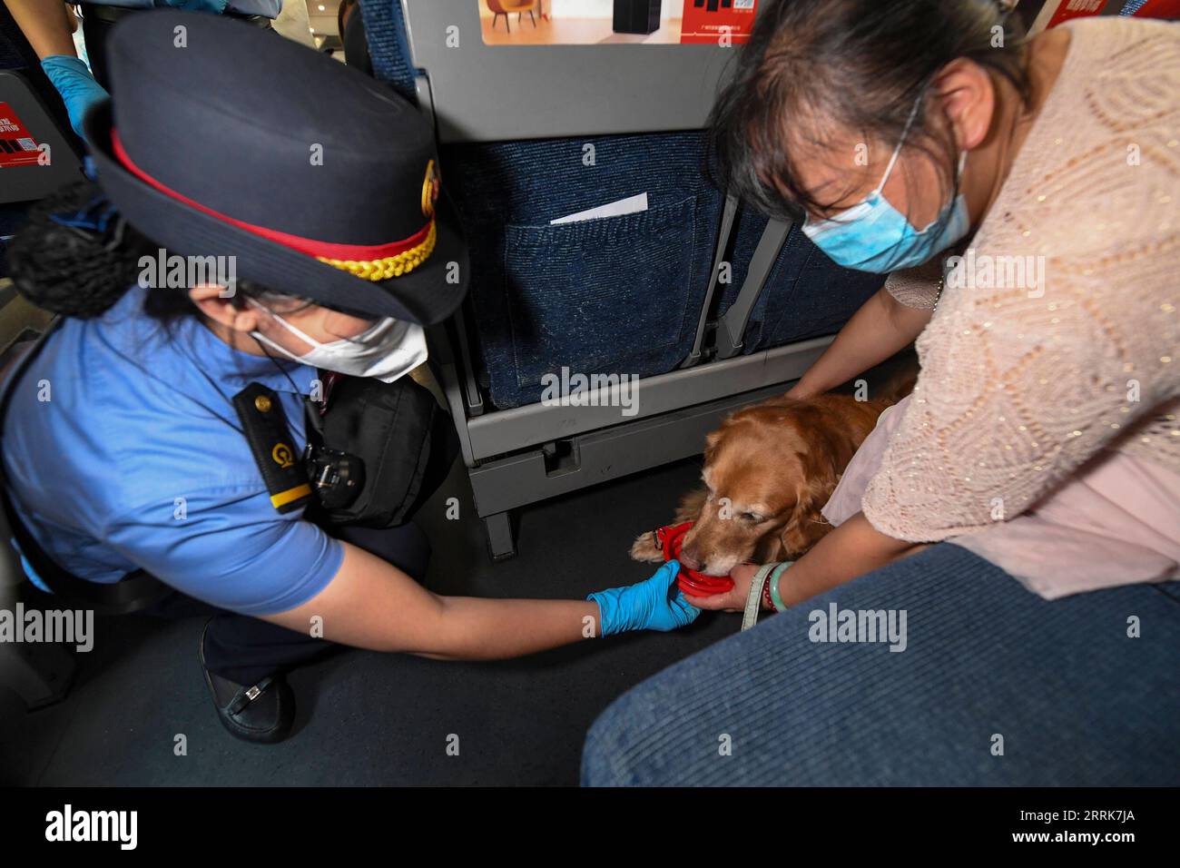 220823 -- GUANGDONG, Aug. 23, 2022 -- Train conductor Li Shuang L helps ...