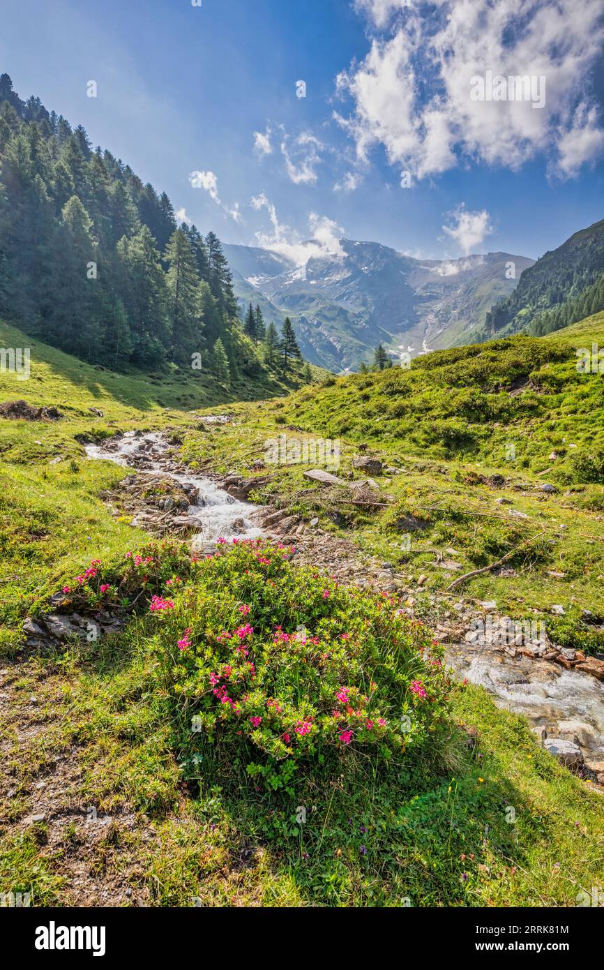 Austria, Tyrol, Innsbruck land, idyllic alpine landscape in the Schmirn ...