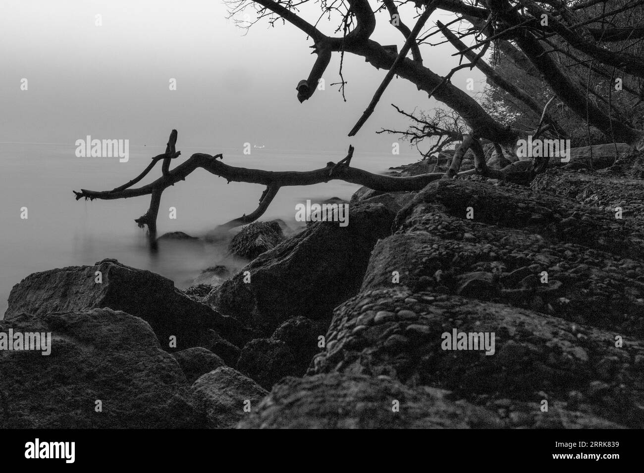 View out sea sunset Black and White Stock Photos & Images - Alamy