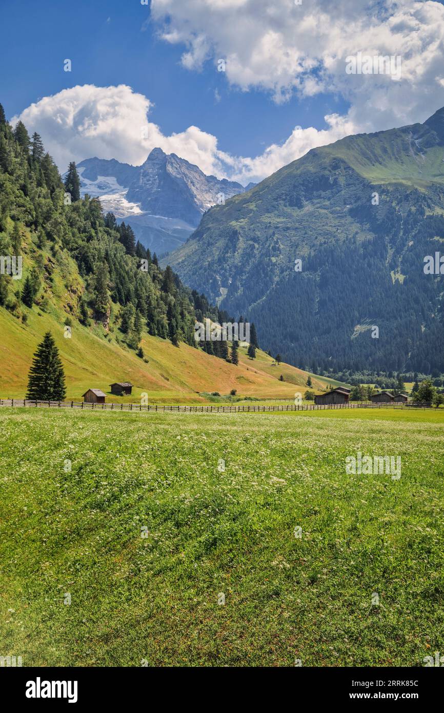 Austria, Tyrol, Vals valley, Vals, rural landscape in the Vals valley ...