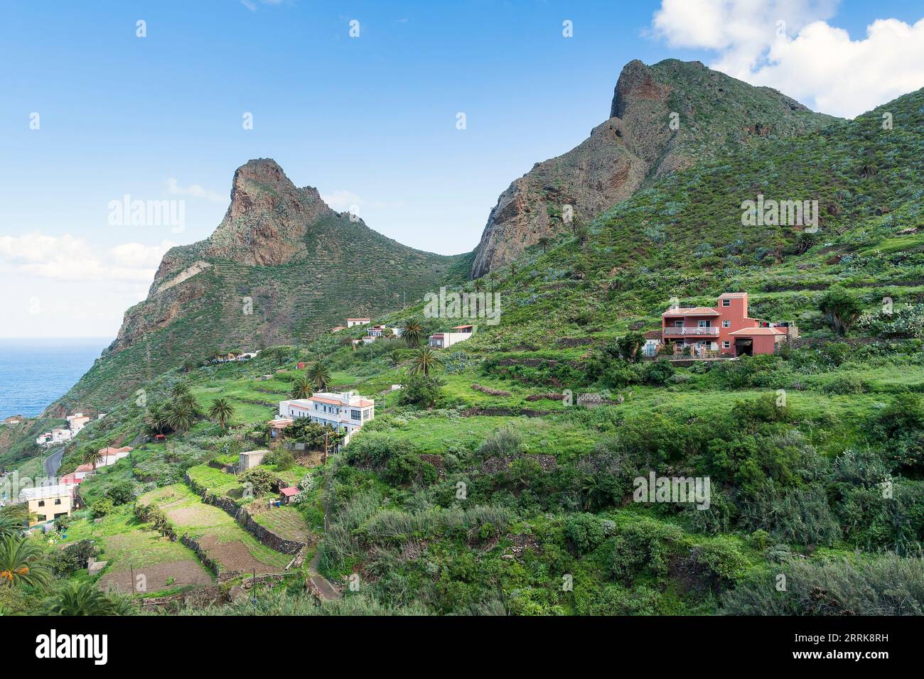 Tenerife, Canary Island, Anaga Mountains, Village Taganana, Terraces ...