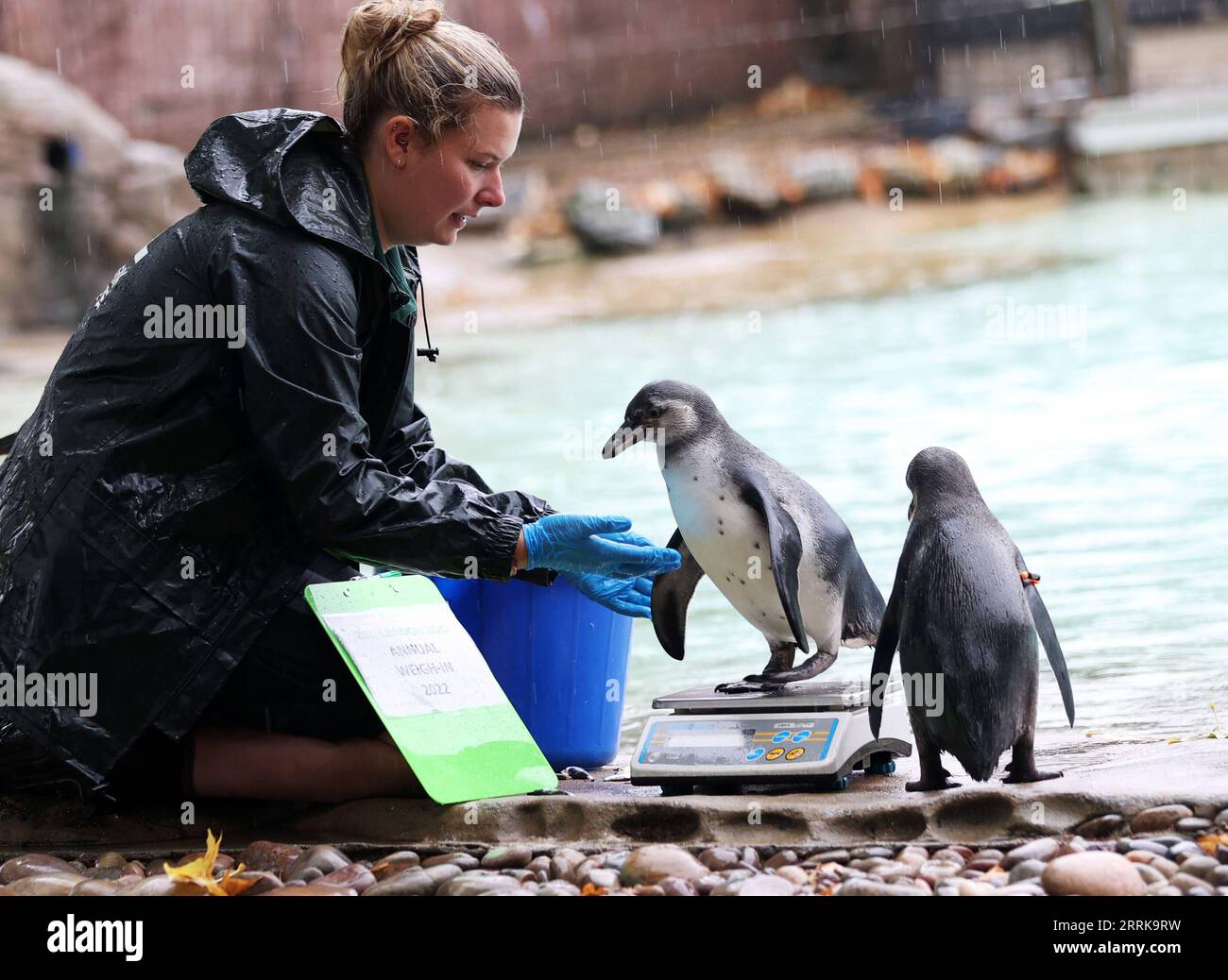 Zoos across the world hi-res stock photography and images - Alamy