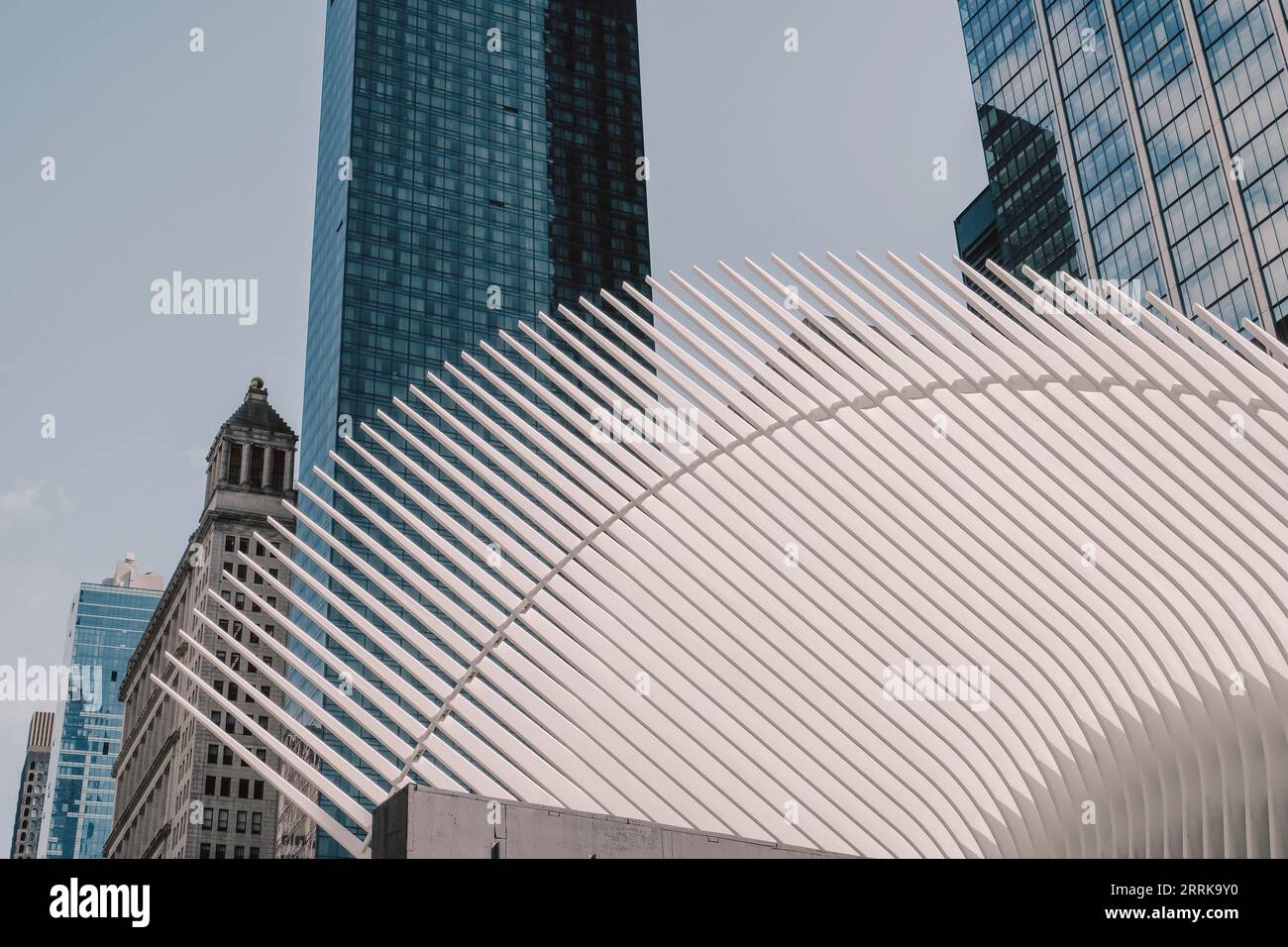 Manhattan, New York City, USA, ground zero Stock Photo - Alamy