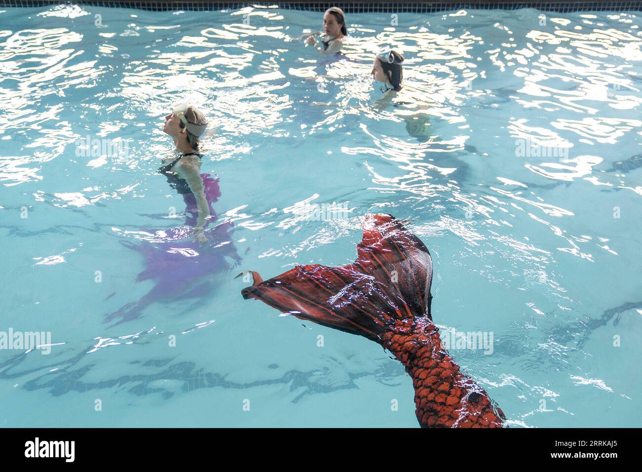 Mermaiding hi-res stock photography and images - Alamy