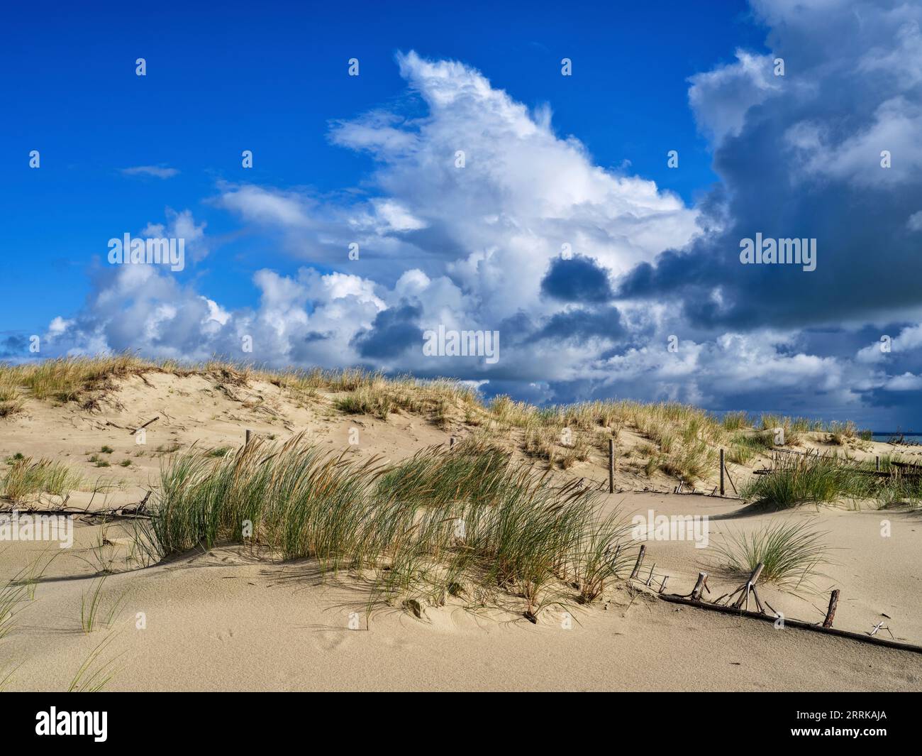 Negyvosios kopos hi-res stock photography and images - Alamy