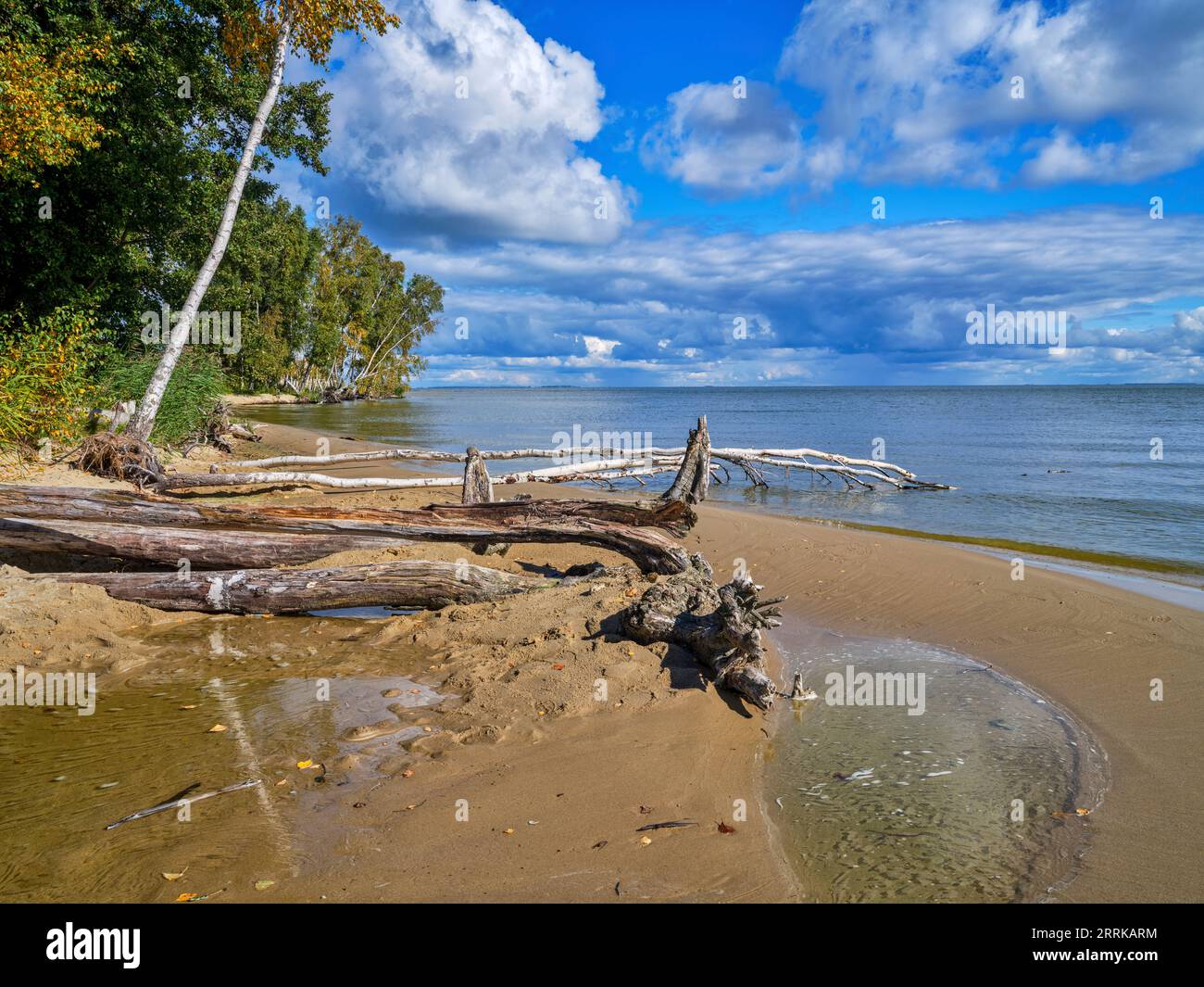 Walk along the Great Dune in Nida on the Curonian Spit, Lithuania Stock ...