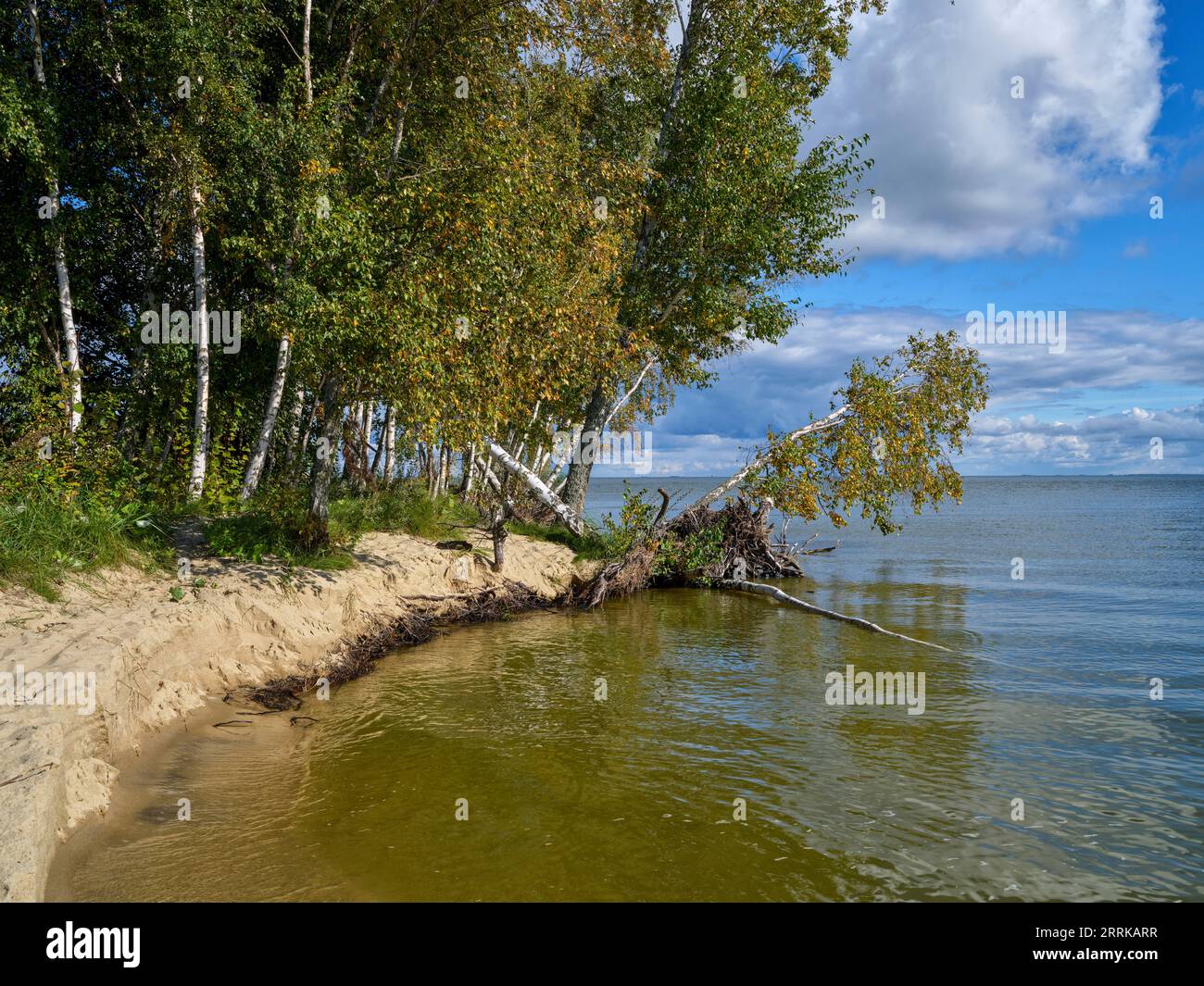 Walk along the Great Dune in Nida on the Curonian Spit, Lithuania Stock ...