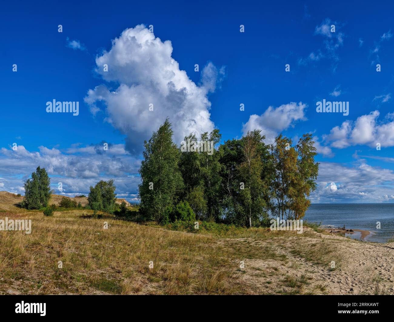 Walk along the Great Dune in Nida on the Curonian Spit, Lithuania Stock ...