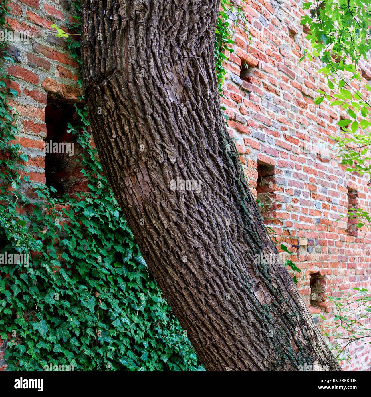 Castle rampart made of brick walls at Friedberg Castle in Bavaria Stock ...