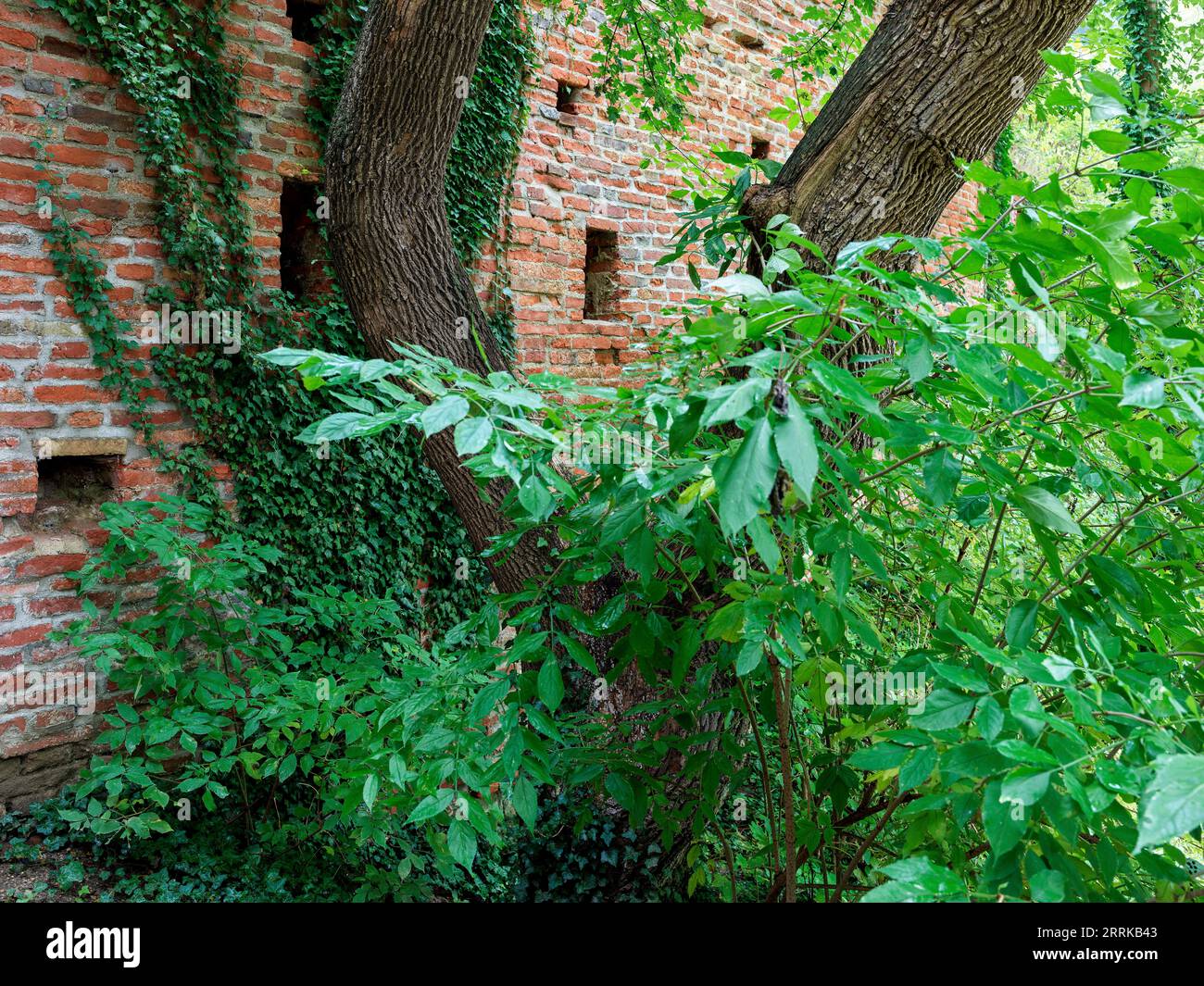 Castle rampart made of brick walls at Friedberg Castle in Bavaria Stock ...