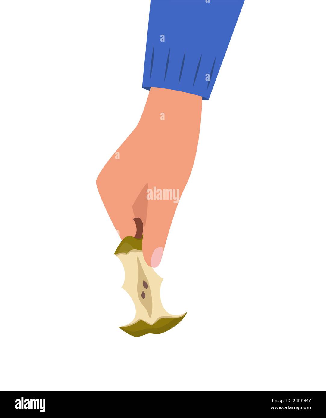 Hand holding pear core. Hand throws pear core into trash can. Organic ...