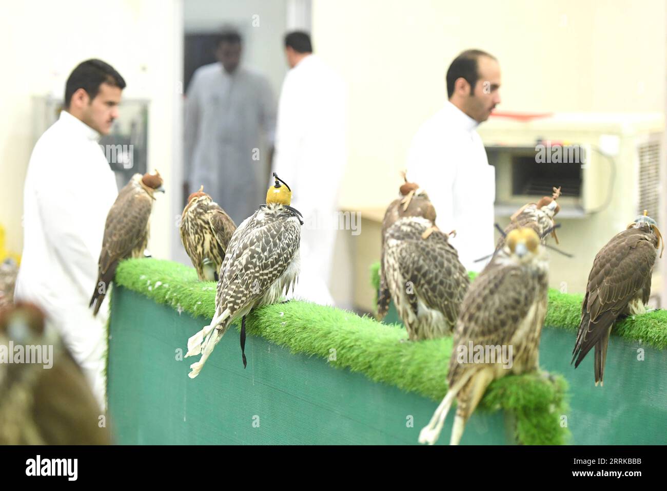 Al rai district hi-res stock photography and images - Alamy