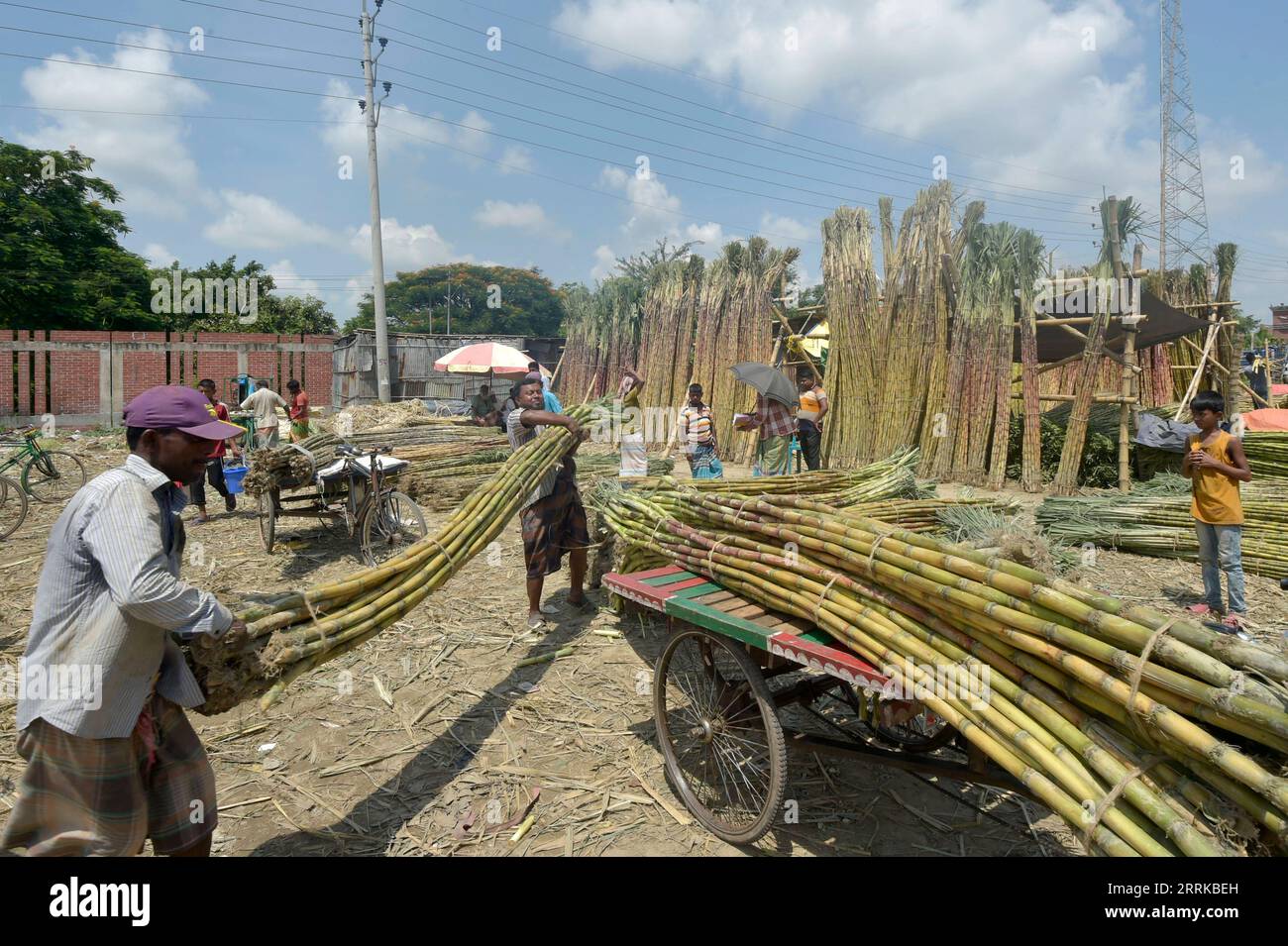 220830 -- DHAKA, Aug. 30, 2022 -- Traders load bundles of sugarcane onto a tricycle at a market ...