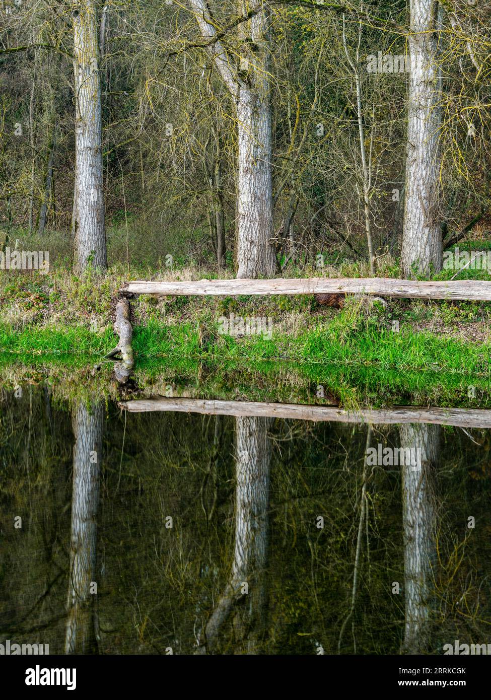At the mouth of the Lech River, Marxheim Stock Photo - Alamy