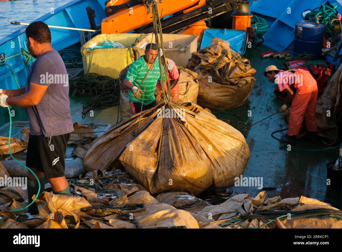 Tuna farm aquaculture hi-res stock photography and images - Alamy