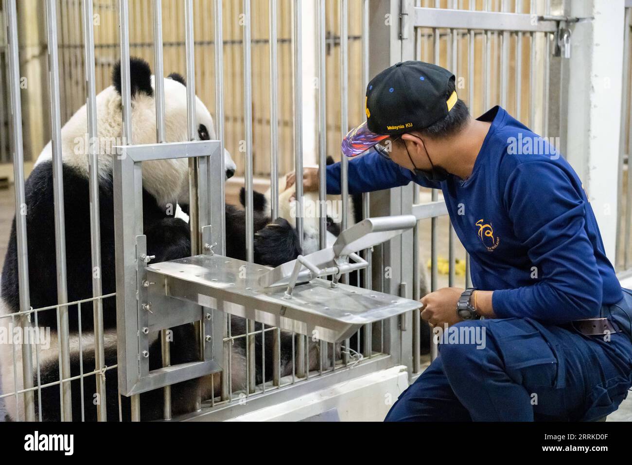 220903 -- KUALA LUMPUR, Sept. 3, 2022 -- Giant panda caretaker Akmal ...