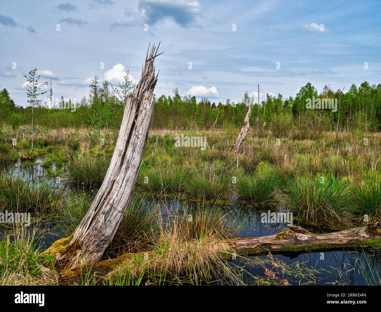 Old moraine landscape, Isar-Loisach foreland glacier, Ice Age landscape ...